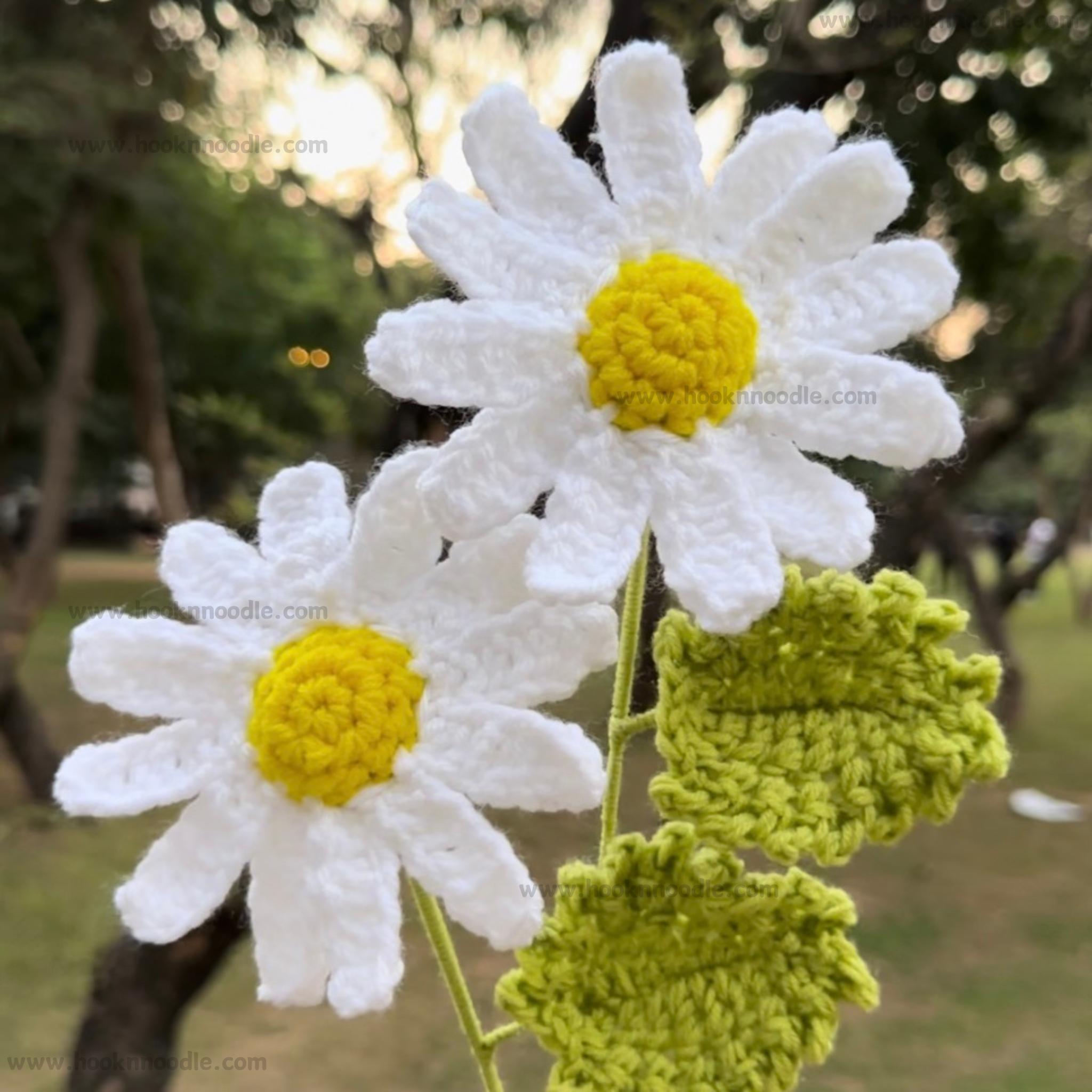 Everlasting Daisy- Crochet Daisy – Hook•n•Noodle